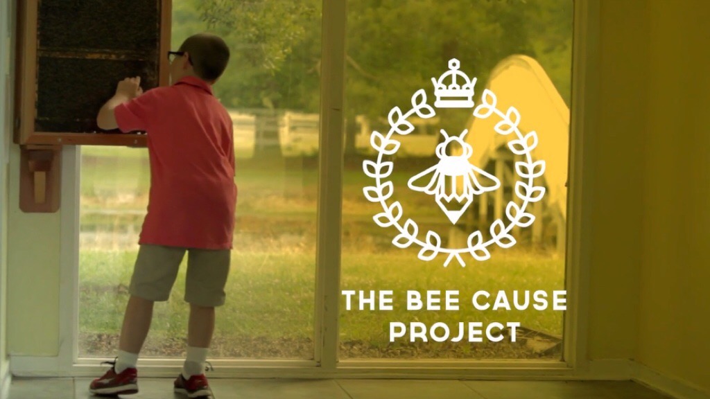 Donate Now | The Bee Cause Project by The Bee Cause Project