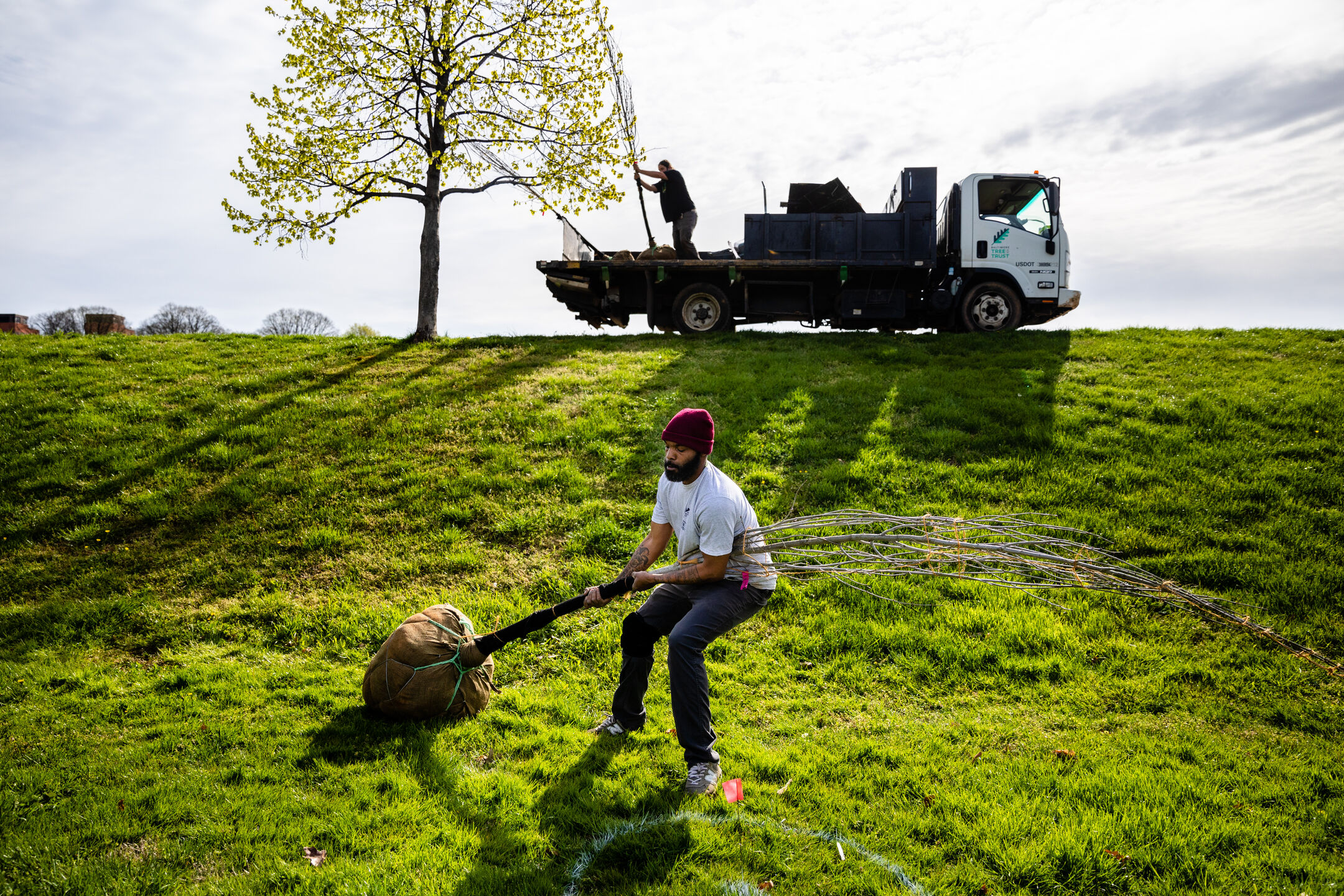 Donate Now | Baltimore Tree Trust