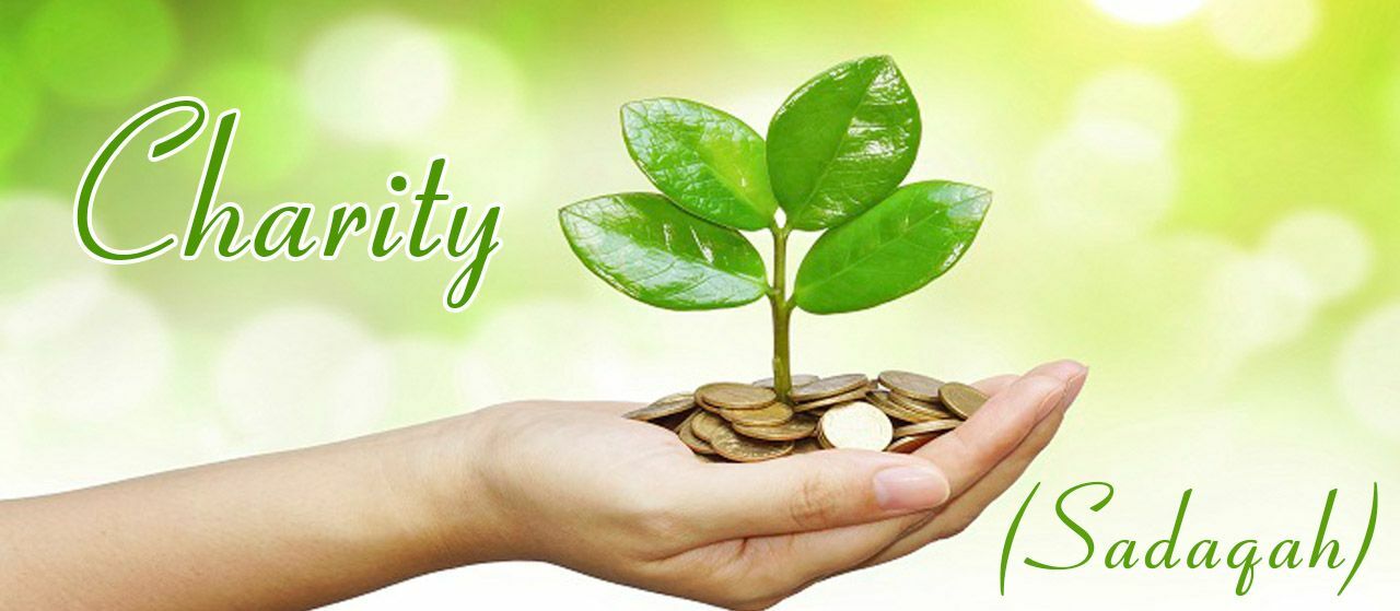 Donate Now | Sadqa/Charity by NAIF