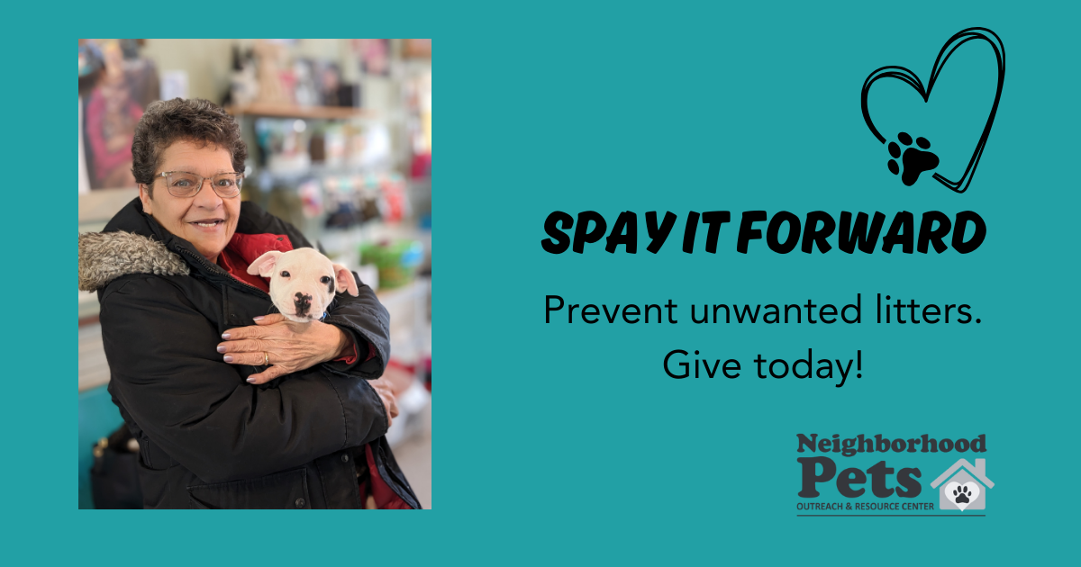 Donate Now | Spay It Forward by Neighborhood Pets