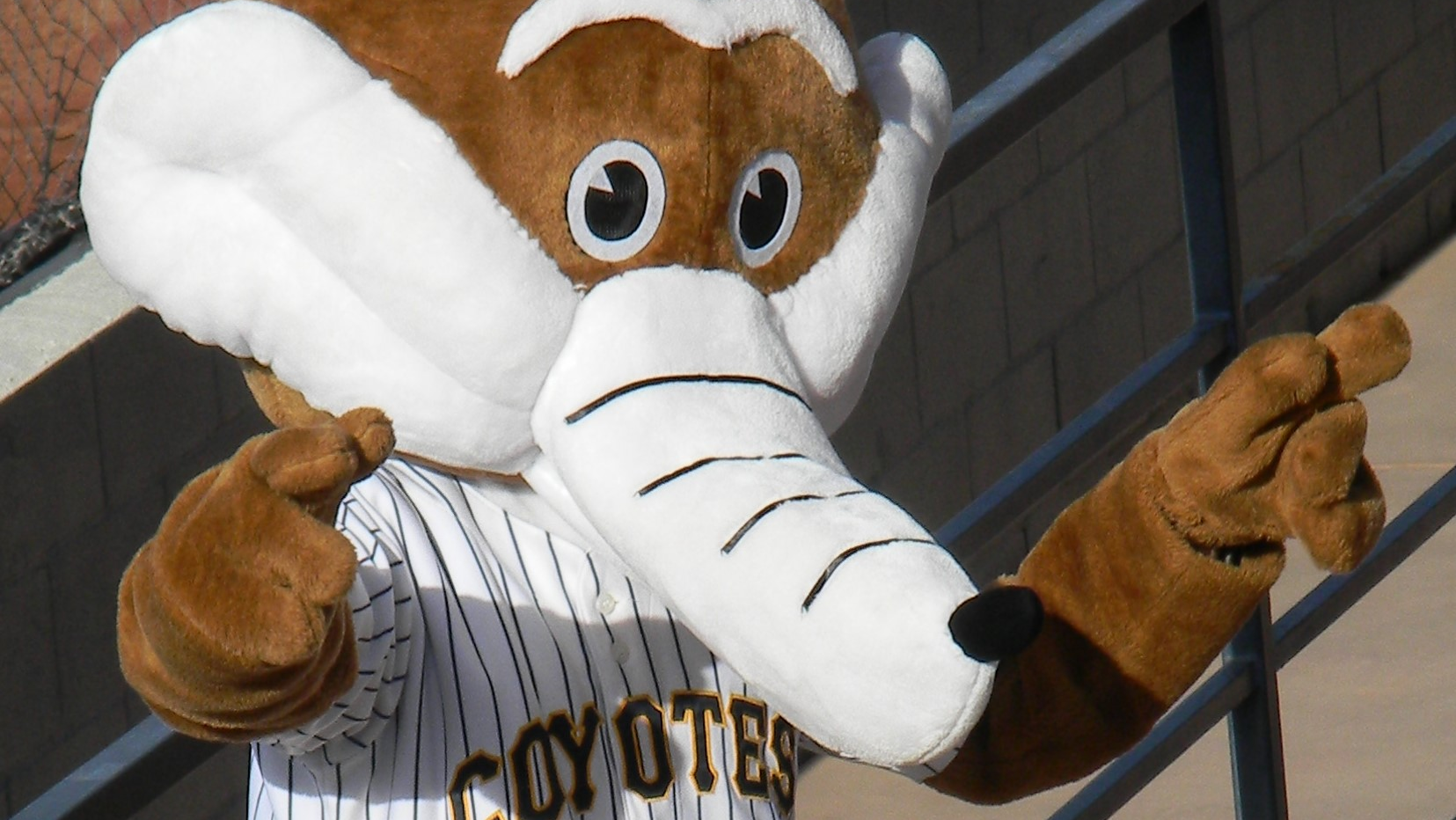 Donate Now | Coyote Club by College of Southern Nevada Foundation