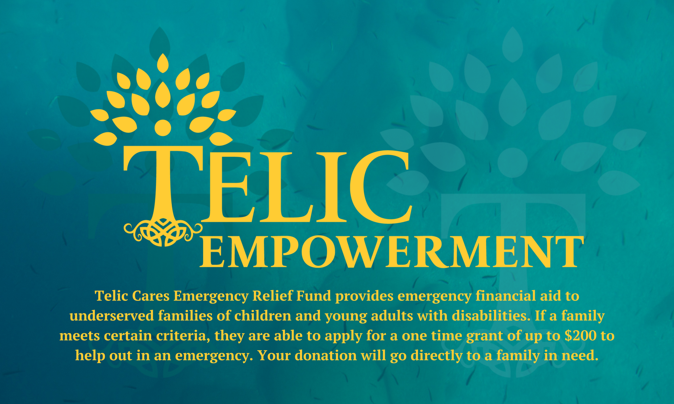 Donate Now | TELIC Cares by TELIC Empowerment