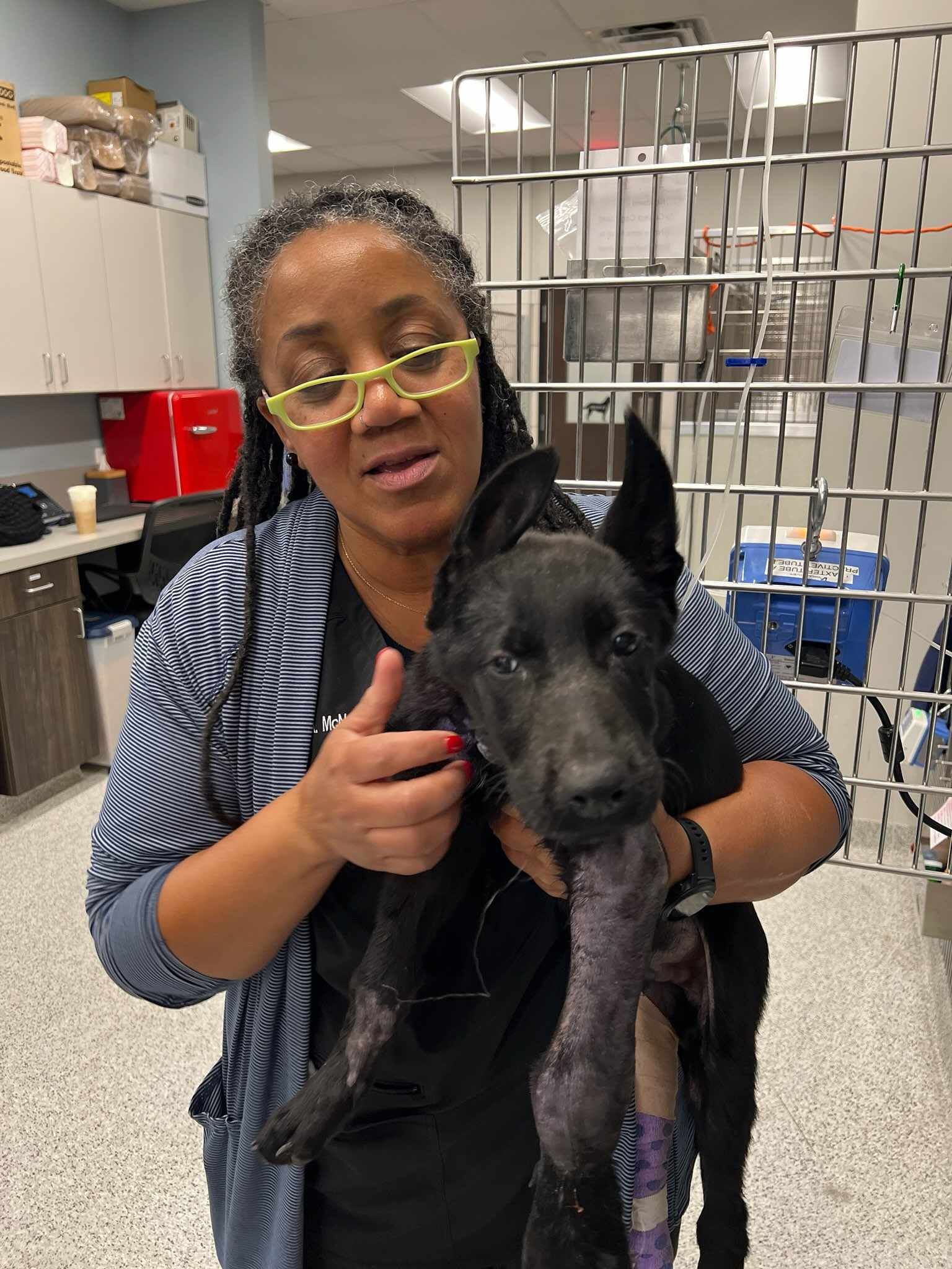 Donate Now | Helping Theodore by Paws Up 4 Rescue