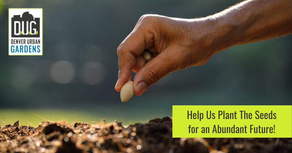 Donate Now | Plant the seeds by Denver Urban Gardens