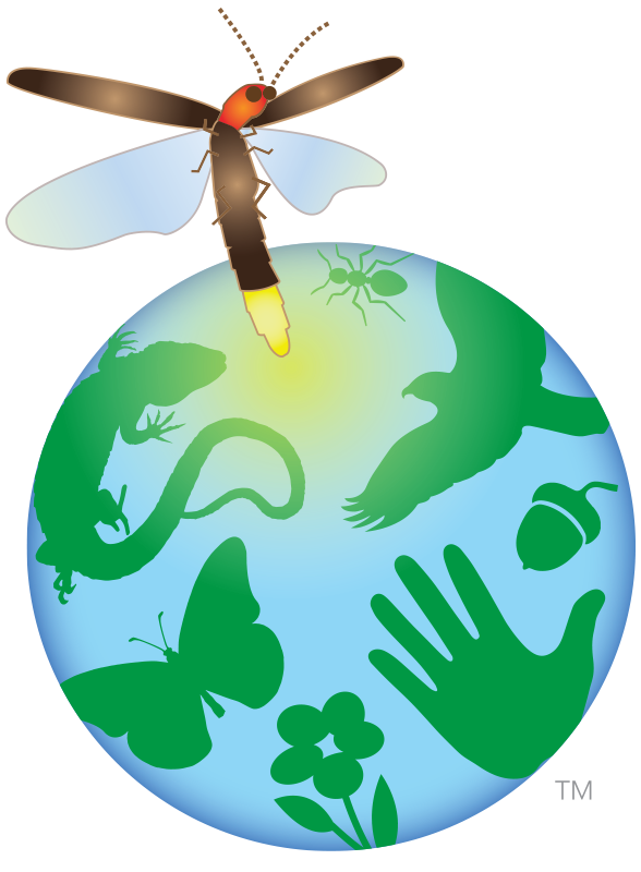 Night Magic: Marvels of the Dark with Leigh Ann Henion by Homegrown ...